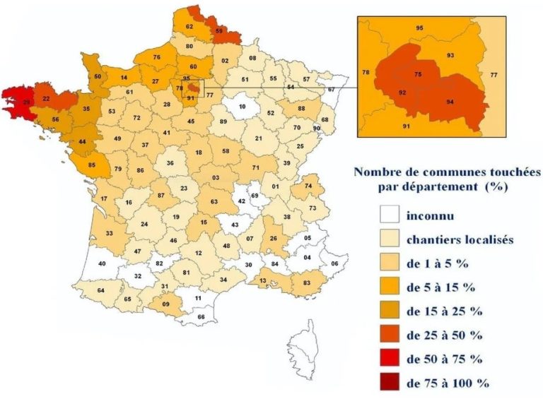 Diagnostic mérule : êtes vous concerné en 2023? | nord-humidite.com